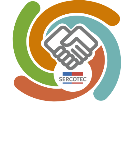 Contacto | Guías de Turísmo Iquique